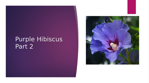 Purple Hibiscus SOW and resources with answers Part 2 | Teaching Resources