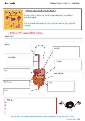 Human Nutrition Part 2 (IGCSE/GCSE) worksheet | Teaching Resources