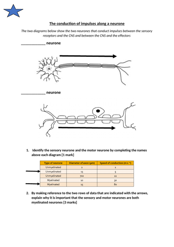 Antigens and autoimmune diseases (CIE A-level Biology) | Teaching Resources
