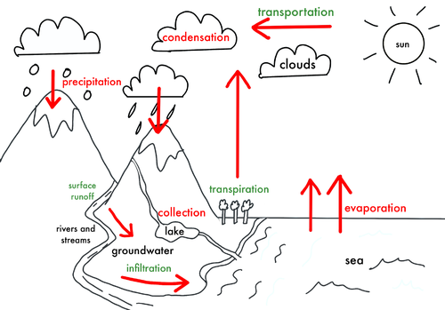 The Water Cycle Lesson Plan & Diagram | Teaching Resources