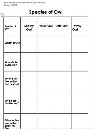 Whole class guided reading non-fiction birds of prey/owls year 4 KS2 ...