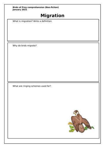 Whole class guided reading non-fiction birds of prey/owls year 4 KS2 ...