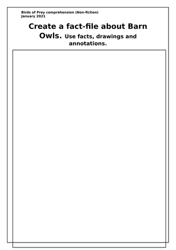 Whole class guided reading non-fiction birds of prey/owls year 4 KS2 ...