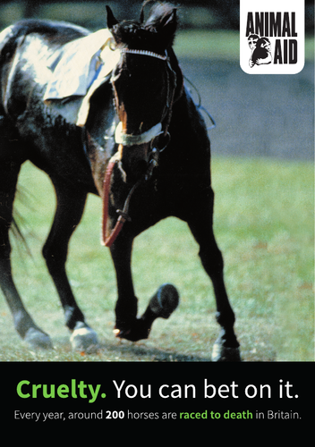 Oranges in No Man's Land KS2 Novel Study, Writing tasks and Resources ...