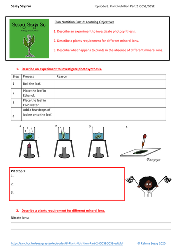 Plant Nutrition Part 2 (IGCSE/GCSE) worksheet | Teaching Resources