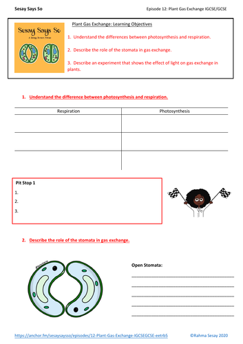 Plant Gas Exchange (IGCSE/GCSE) worksheet | Teaching Resources