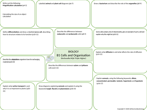 B1 Cells and Organisation Mat | Teaching Resources
