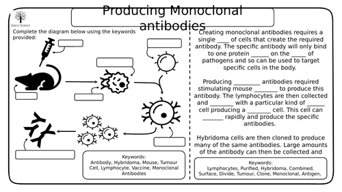 Monoclonal Antibodies (Triple) - GCSE Biology Worksheets | Teaching ...