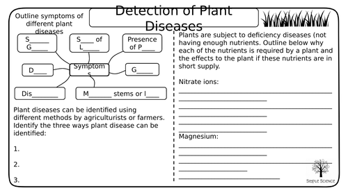 Plant Disease Detection and Defences (Triple) - GCSE Biology Worksheets ...