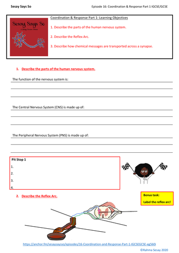 Coordination & Response Part 1 (IGCSE/GCSE) worksheet | Teaching Resources Coordination & Response Part 1 (IGCSE/GCSE) worksheet | Teaching Resources
