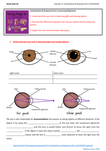 Coordination & Response Part 2 (IGCSE/GCSE) worksheet | Teaching Resources Coordination & Response Part 2 (IGCSE/GCSE) worksheet | Teaching Resources