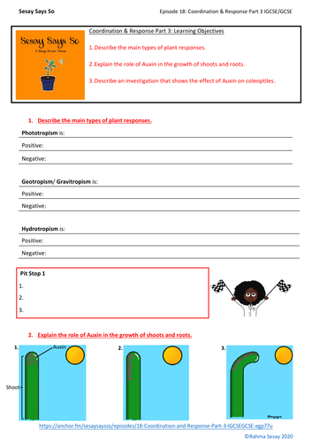 Coordination & Response Part 3 (IGCSE/GCSE) worksheet | Teaching Resources Coordination & Response Part 3 (IGCSE/GCSE) worksheet | Teaching Resources