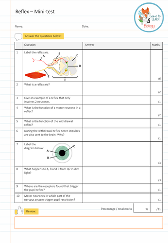 Reflex Arc - Mini-test (KS5) | Teaching Resources