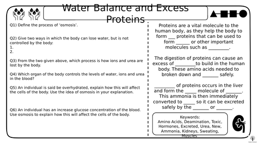 The Kidneys and Water Balance (Triple) - GCSE Biology Worksheets ...