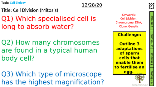 Cell Division (Mitosis) Lesson - GCSE Biology (Cell Biology) Paper 1 ...