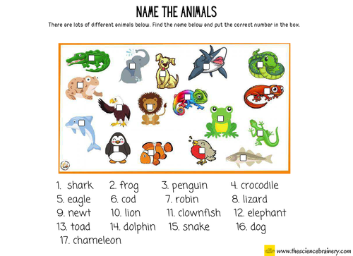 Name the Animals worksheet | KS1 | Animals including humans | Distance ...