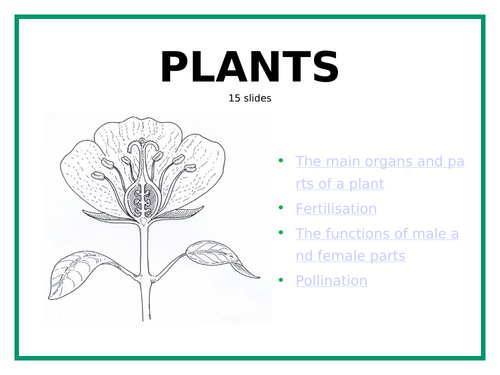 Flowering Plants - PowerPoint Presentations | Teaching Resources