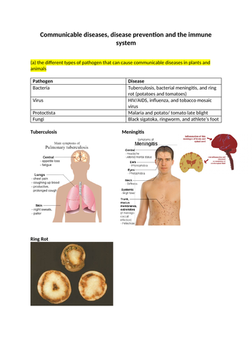 Communicable Diseases Notes OCR A Level Biology | Teaching Resources
