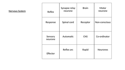 Revision Aid. Biology Puzzle Wall . Nervous system to DNA and genes ...