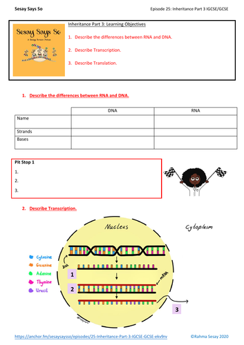Inheritance part 3 (IGCSE/GCSE) worksheet | Teaching Resources