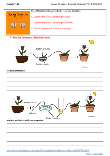 Uses of Biological Resources Part 3 (IGCSE/GCSE) worksheet | Teaching ...