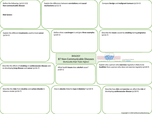 B7 Non-Communicable Diseases Mat | Teaching Resources