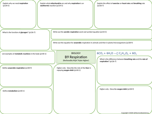 B9 Respiration Mat | Teaching Resources