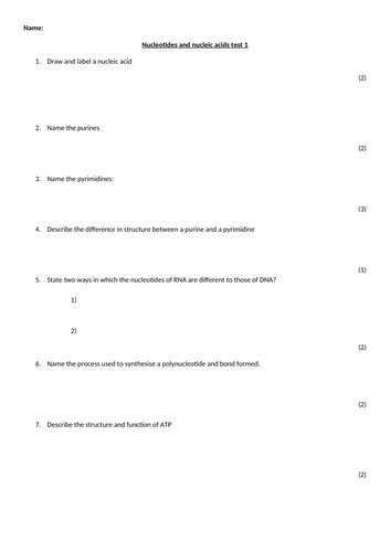 Nucleotides, DNA, Transcription and Translation - OCR A level Biology ...