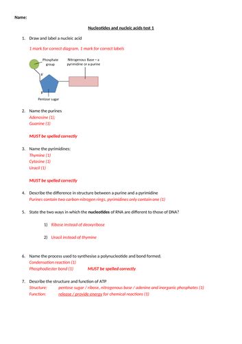 Nucleotides, DNA, Transcription and Translation - OCR A level Biology ...