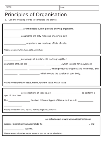 Principles of Organisation Lesson AQA GCSE Biology | Teaching Resources