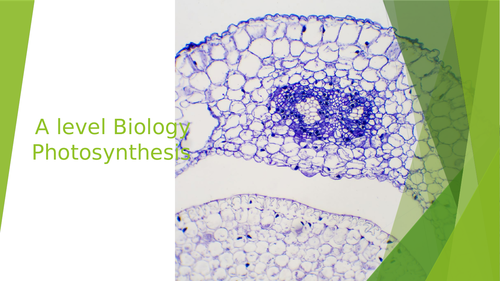 A level Biology Photosynthesis | Teaching Resources