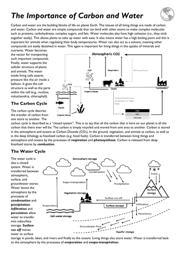Carbon and Water Cycle | Teaching Resources
