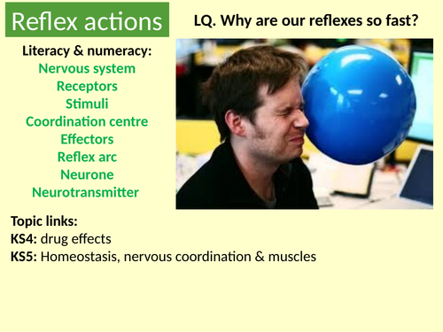 AQA. GCSE. Biology. Homeostasis. 4. Reflex actions | Teaching Resources