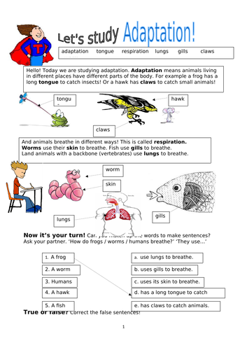 Living Things Worksheet Bundle! | Teaching Resources