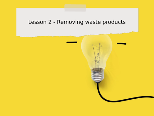 AQA GCSE Biology (9-1) B12.2 Removing waste products FULL LESSON ...