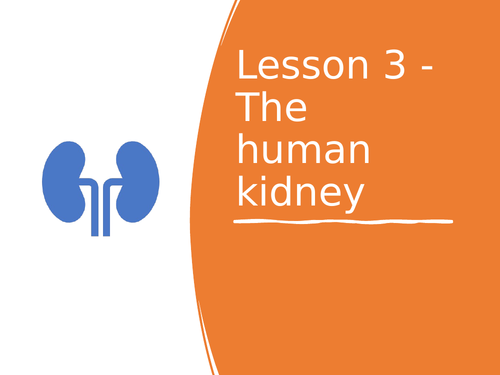 AQA GCSE Biology (9-1) B12.3 The human kidney FULL LESSON | Teaching ...