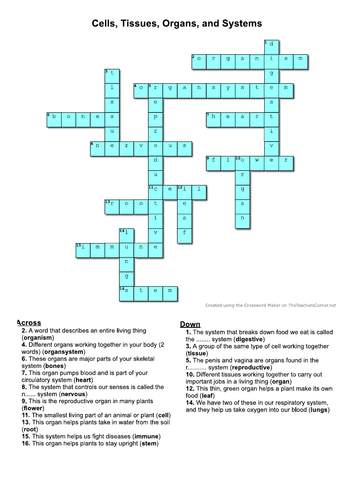 Cells to Systems - KS3 Low Ability | Teaching Resources