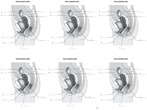 AQA GCSE Biology (9-1) B11.5 Human reproduction FULL LESSON | Teaching ...