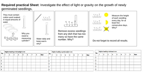AQA GCSE Biology (9-1) B11.9 Plant hormones and responses FULL LESSON ...