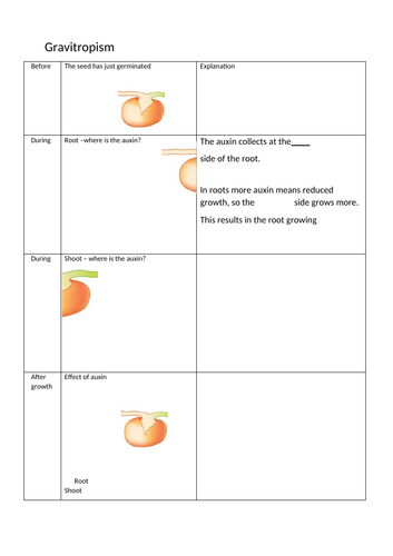 AQA GCSE Biology (9-1) B11.10 Using plant hormones FULL LESSON ...