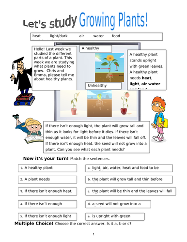 Living Things! Growing Plants | Teaching Resources