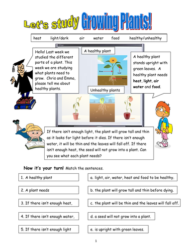 Living Things! Growing Plants | Teaching Resources