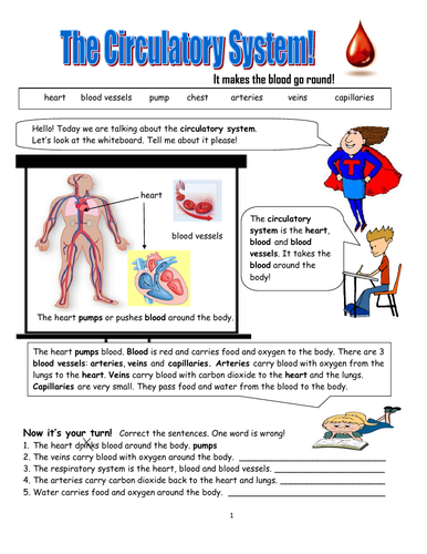 Living Things! Human Body Circulatory System | Teaching Resources