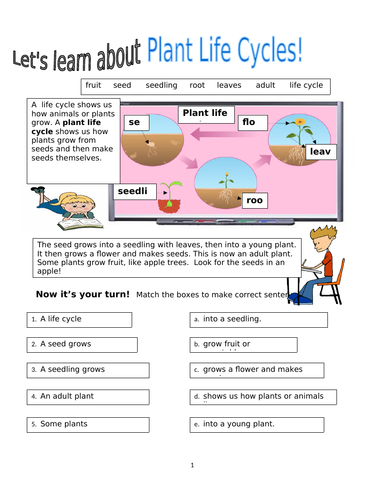 Living Things Worksheet Bundle! | Teaching Resources