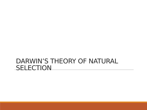 A Level Biology - Darwin's Theory of Natural Selection | Teaching Resources