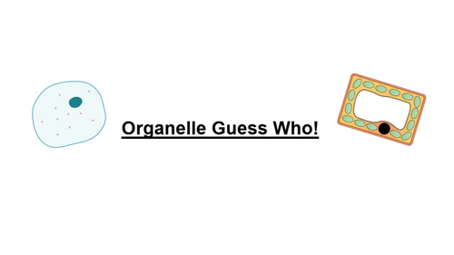Organelles guess who | Teaching Resources