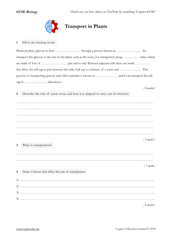 GCSE Bio - Organisation Topic - worksheets + answers pack | Teaching ...