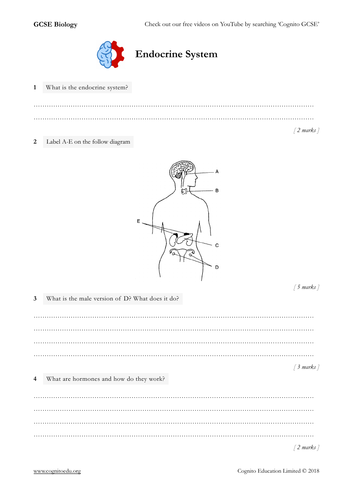 GCSE Bio - Homeostasis & response topic - all worksheets and answers ...