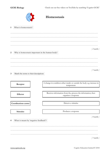GCSE Bio - Homeostasis & response topic - all worksheets and answers ...