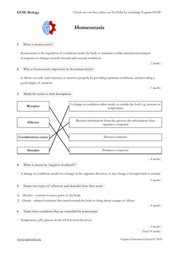 GCSE Bio - Homeostasis & response topic - all worksheets and answers ...